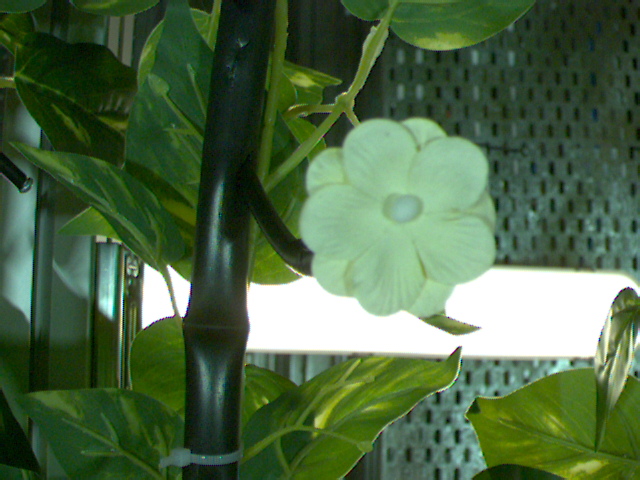 Fake_Flowers Object Detection Dataset and Pre-Trained Model by Uni