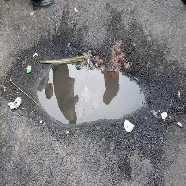 Pothole Detection Object Detection Dataset and Pre-Trained Model by Beetho