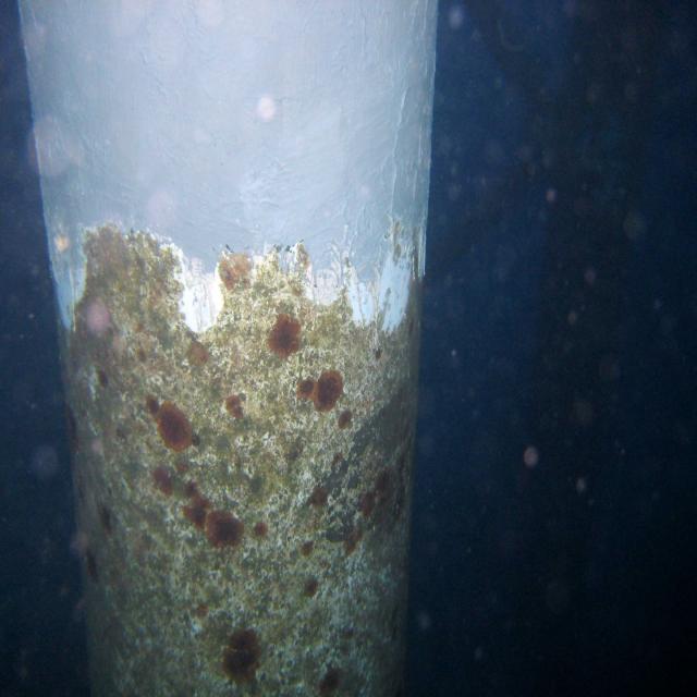 rust under water Object Detection Dataset by talel