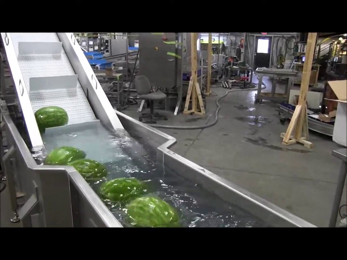 watermelon Object Detection Dataset by Rahul Kumar