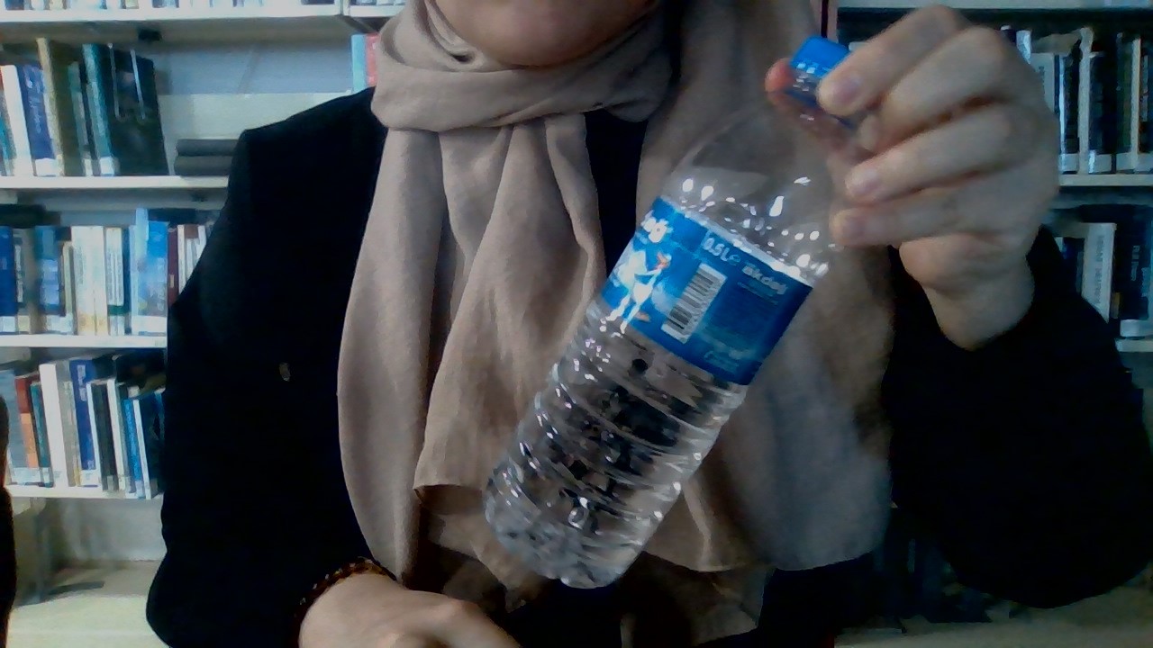 Tespit Object Detection Dataset By Samiullah