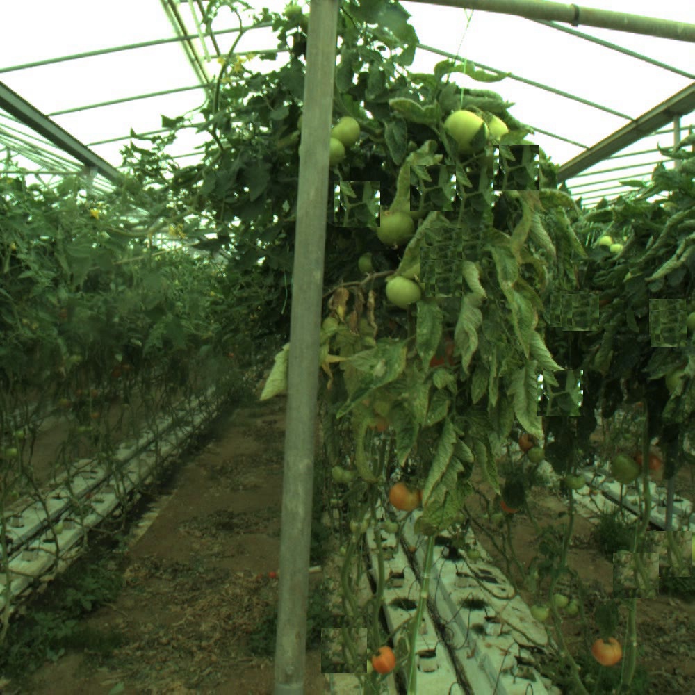 Tomato Detection Yolo Object Detection Dataset By Tomatotest