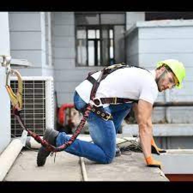 Harness Belt Object Detection Dataset By Harnessbelt