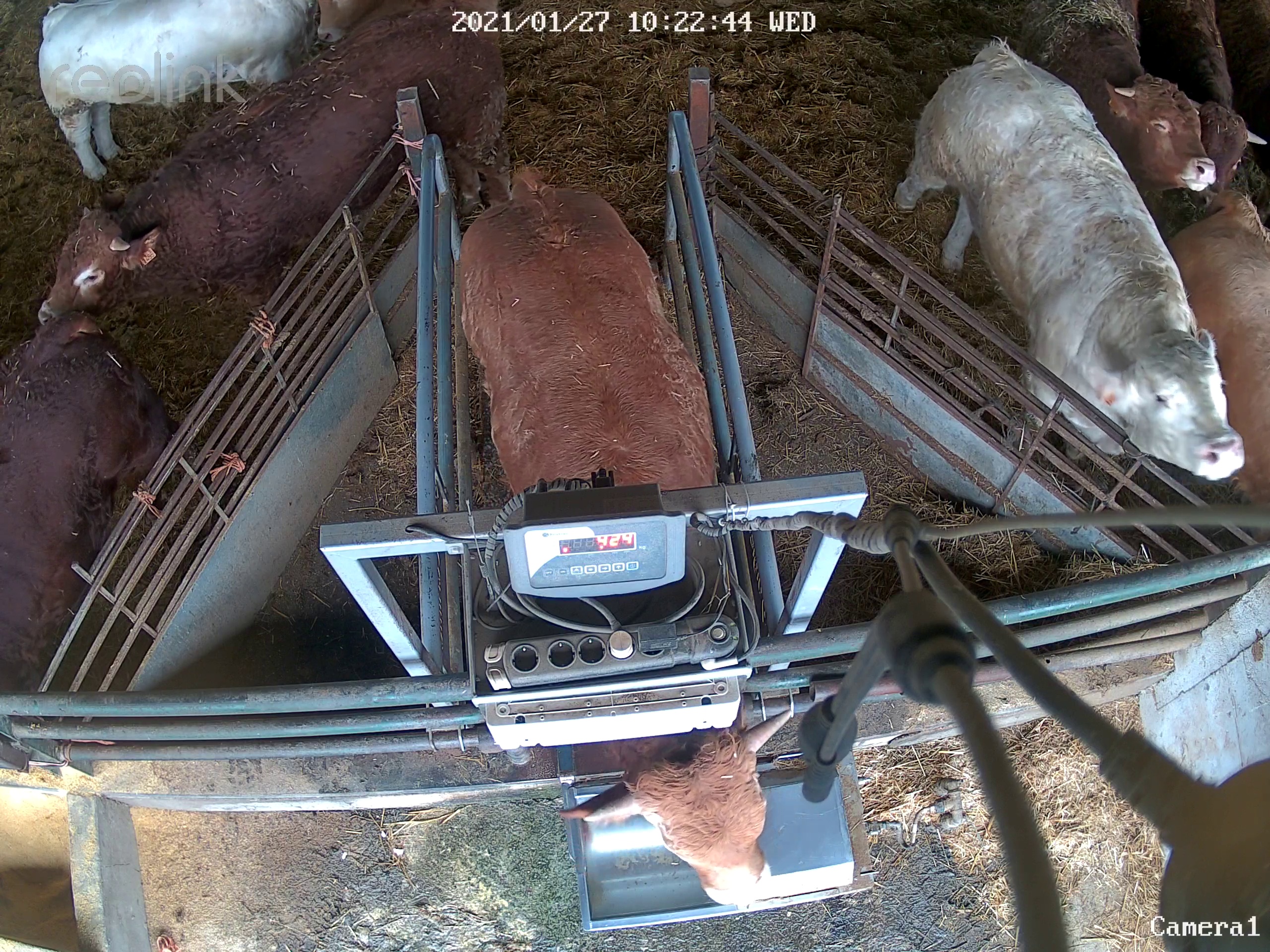 Instance Segmentation3 - Roboflow Universe