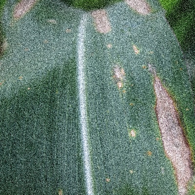 Tokicho - Roboflow Universe