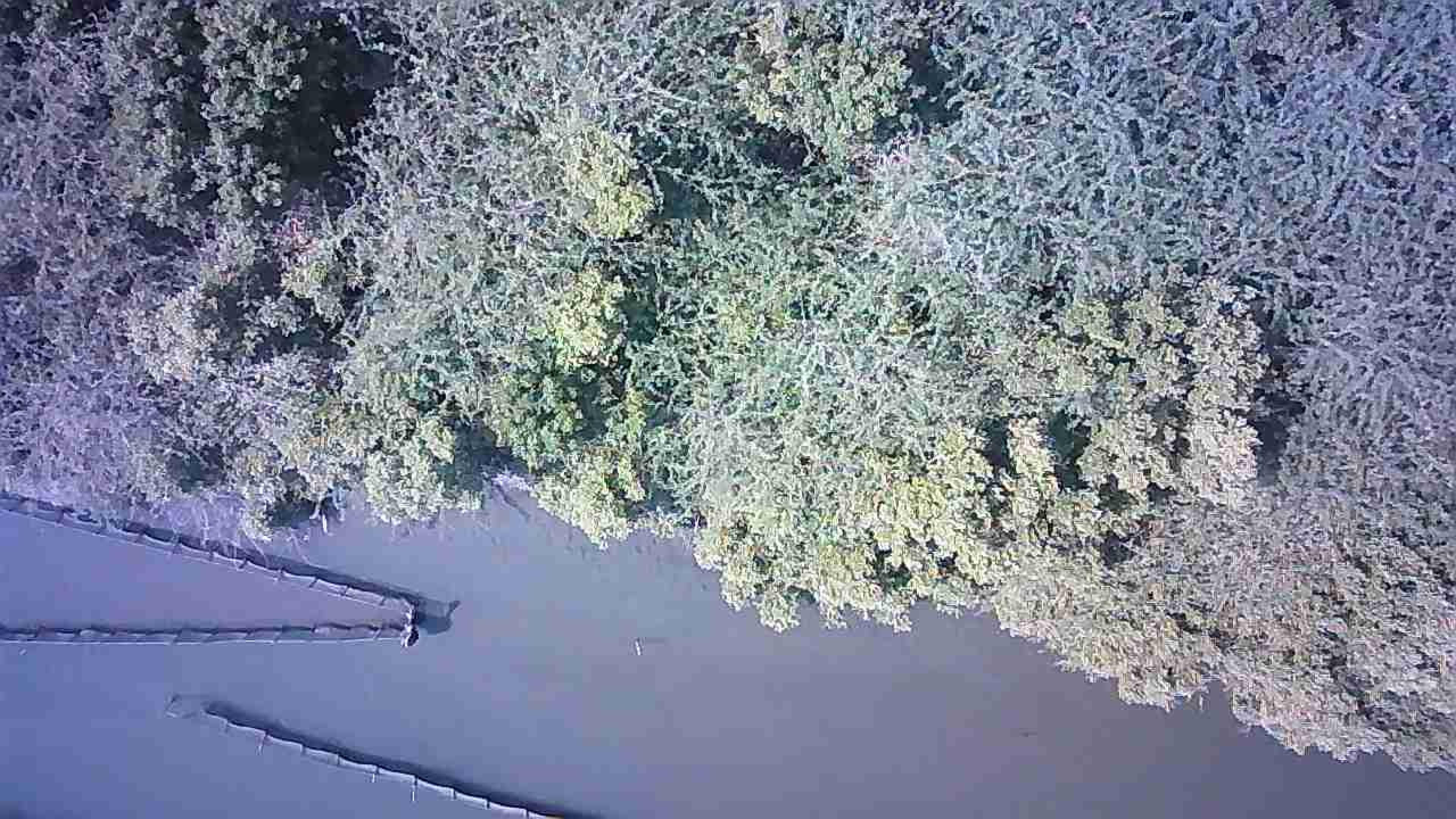 MANGROVES MONITORING - Roboflow Universe
