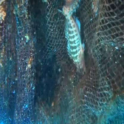 plastic data Object Detection Dataset by Shifin