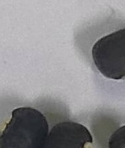 Bean seed Object Detection Dataset by KKF