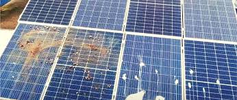 How to Use the pin Object Detection API