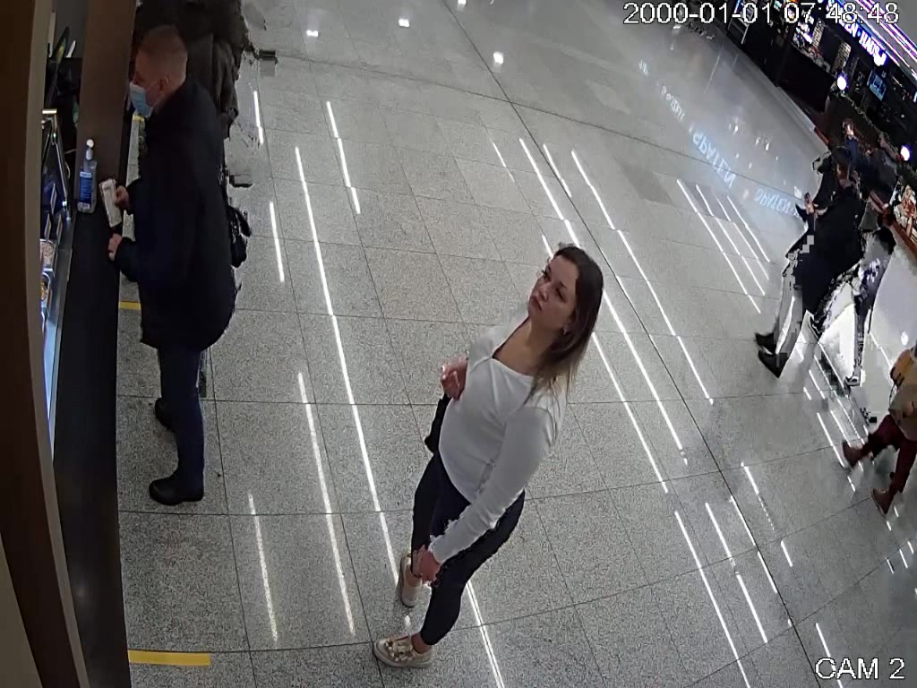 queue2 Object Detection Dataset by Artem