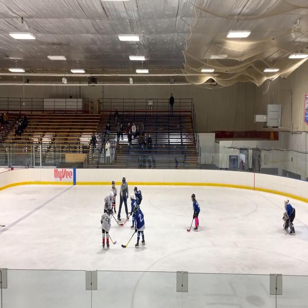 Hockey Object Detection Dataset by Trampoline