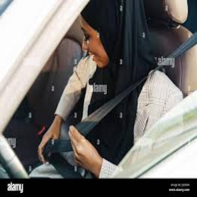 Seatbelt Hijab Object Detection Dataset By Seatbelt Detection