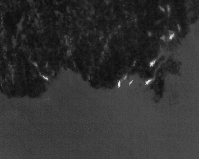 Thermal Seal Object Detection Dataset By Sealcounter