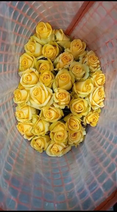 roses_cart_variedades1 Object Detection Dataset and Pre-Trained Model ...