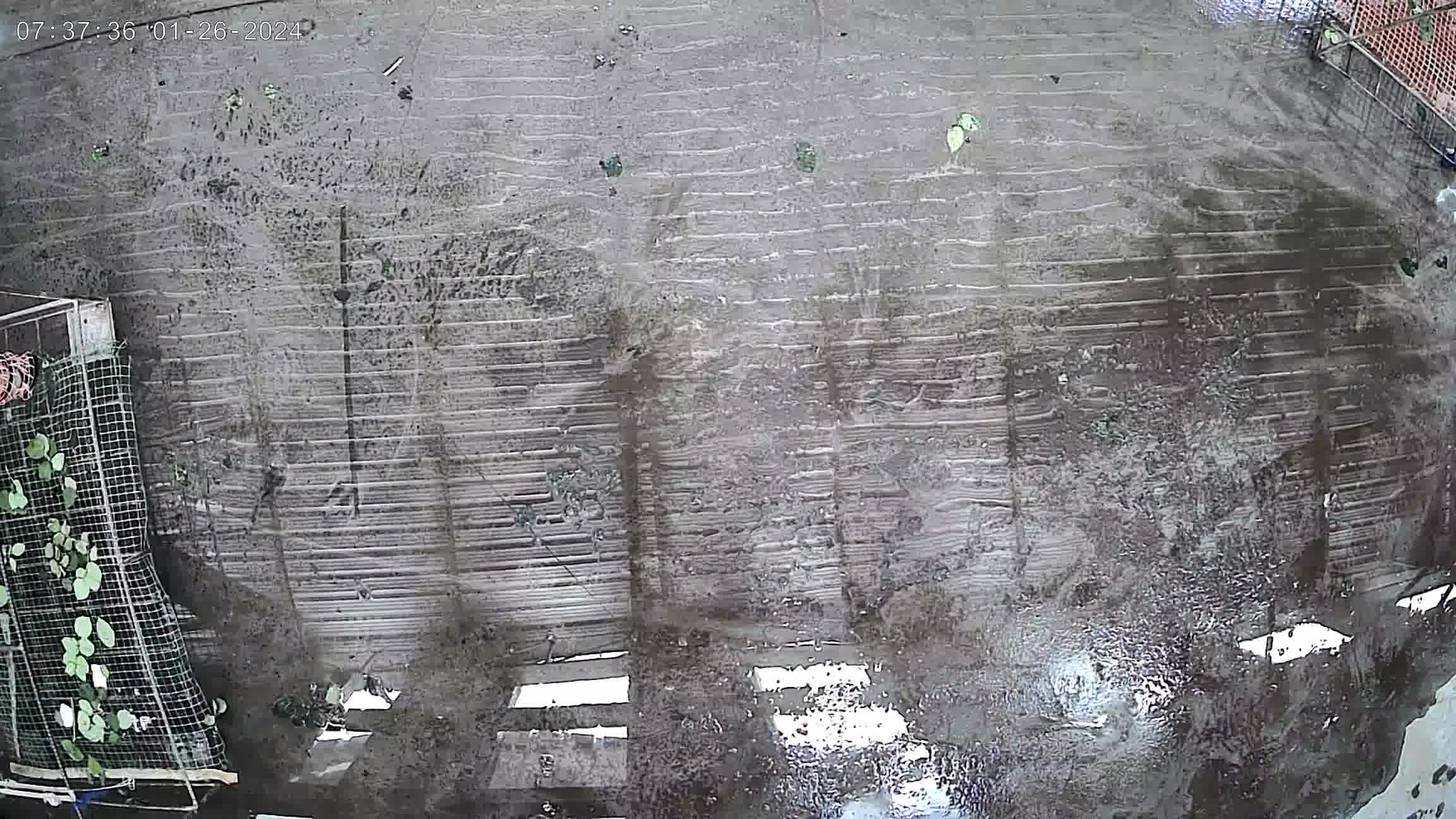 Car_identification Object Detection Dataset by rosas