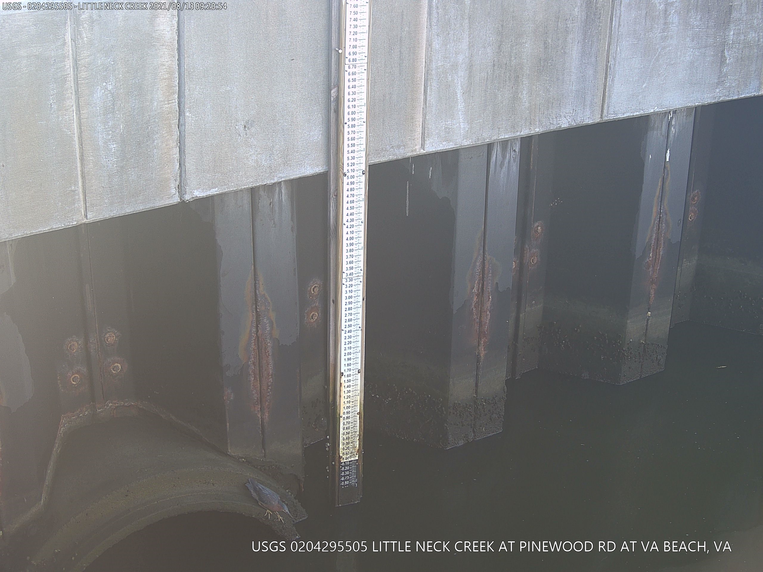 pinewood_final_without_water Instance Segmentation Dataset by dummy