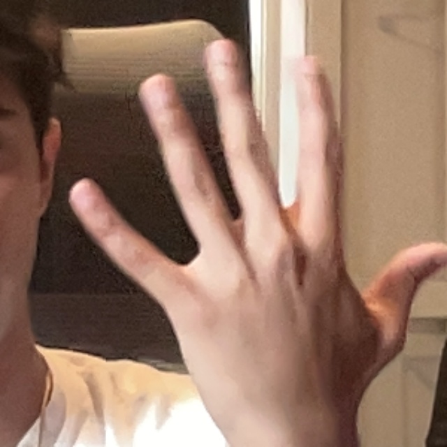 finger-count-detection Object Detection Model by Fingerdetection