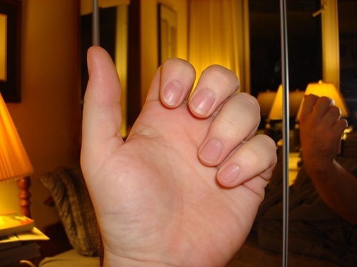 finger counting_detailed Object Detection Model by talaria