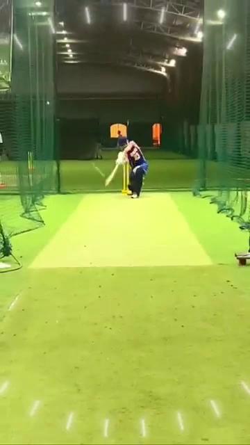 Cricket Object Detection Dataset by Workspace2