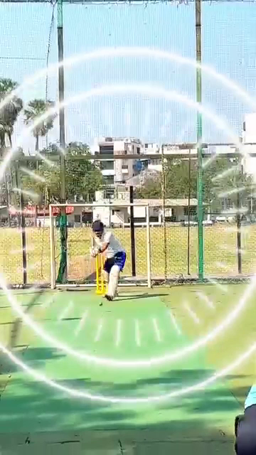 Cricket Object Detection Dataset by Workspace2