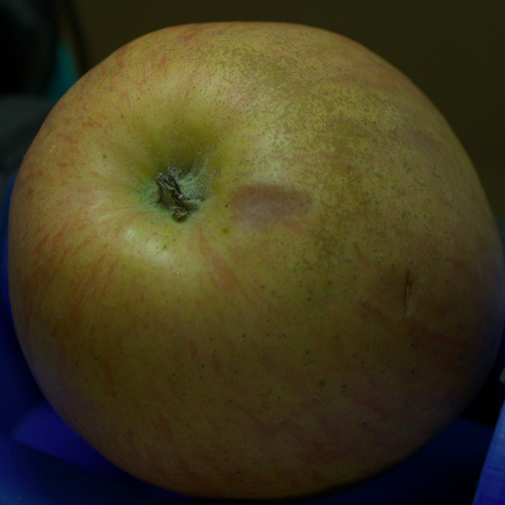 Apple Object Detection Model by Doom