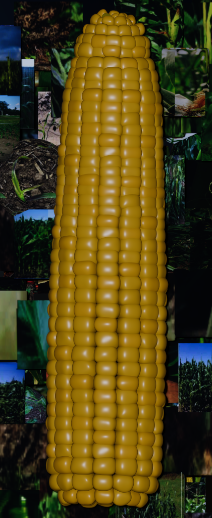 kernel Object Detection Dataset and Pre-Trained Model by yes