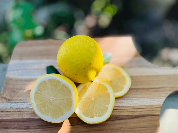 lemon Instance Segmentation Dataset and Pre-Trained Model by SIGN L