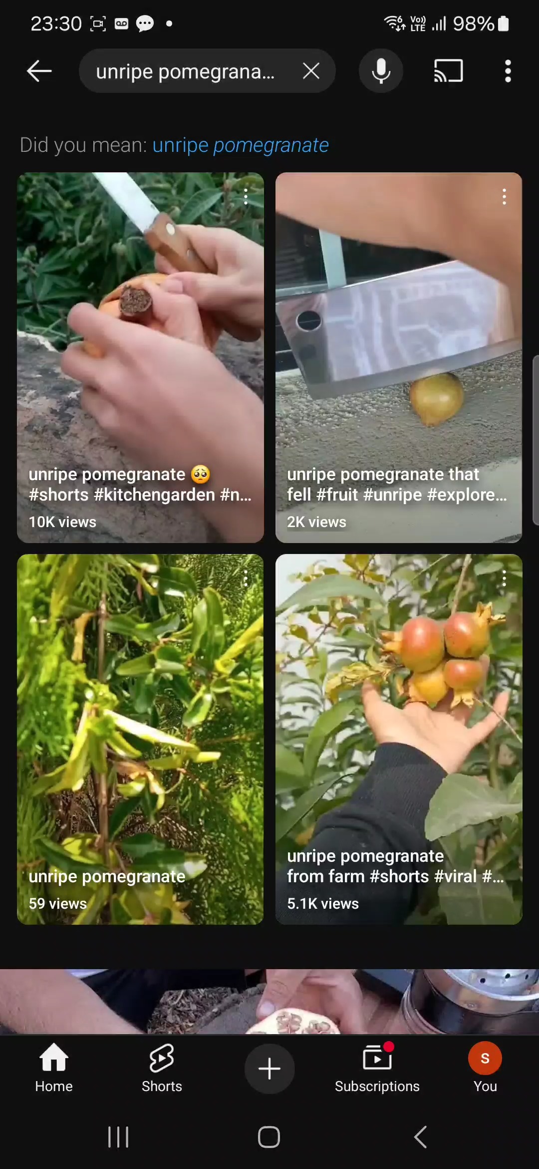 fruits Instance Segmentation Dataset by SIGN L