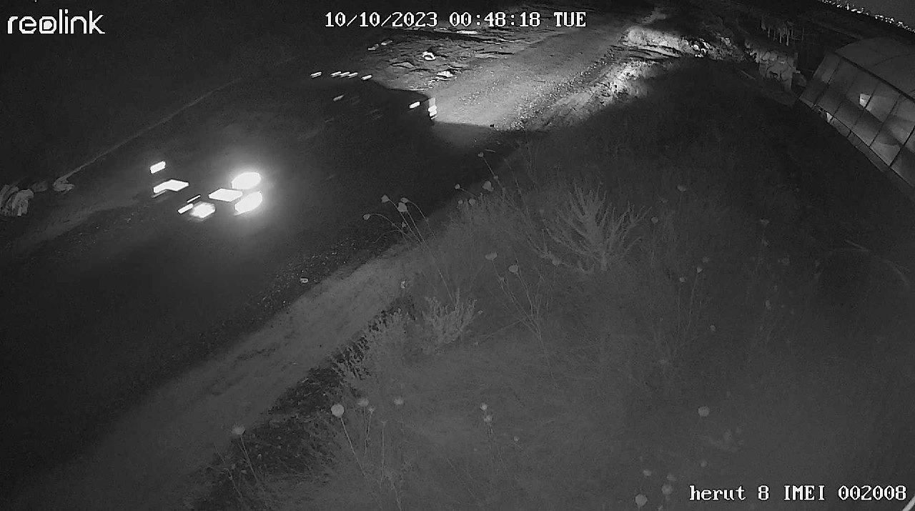 Test Object Detection Model By Dmitry