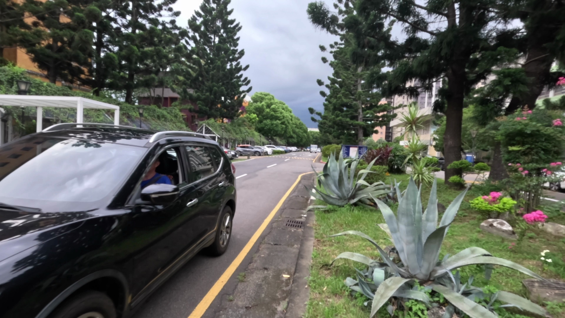 Car plate Object Detection Dataset and Pre-Trained Model by car plate recognition