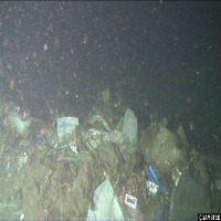 SSD Training - Roboflow Universe