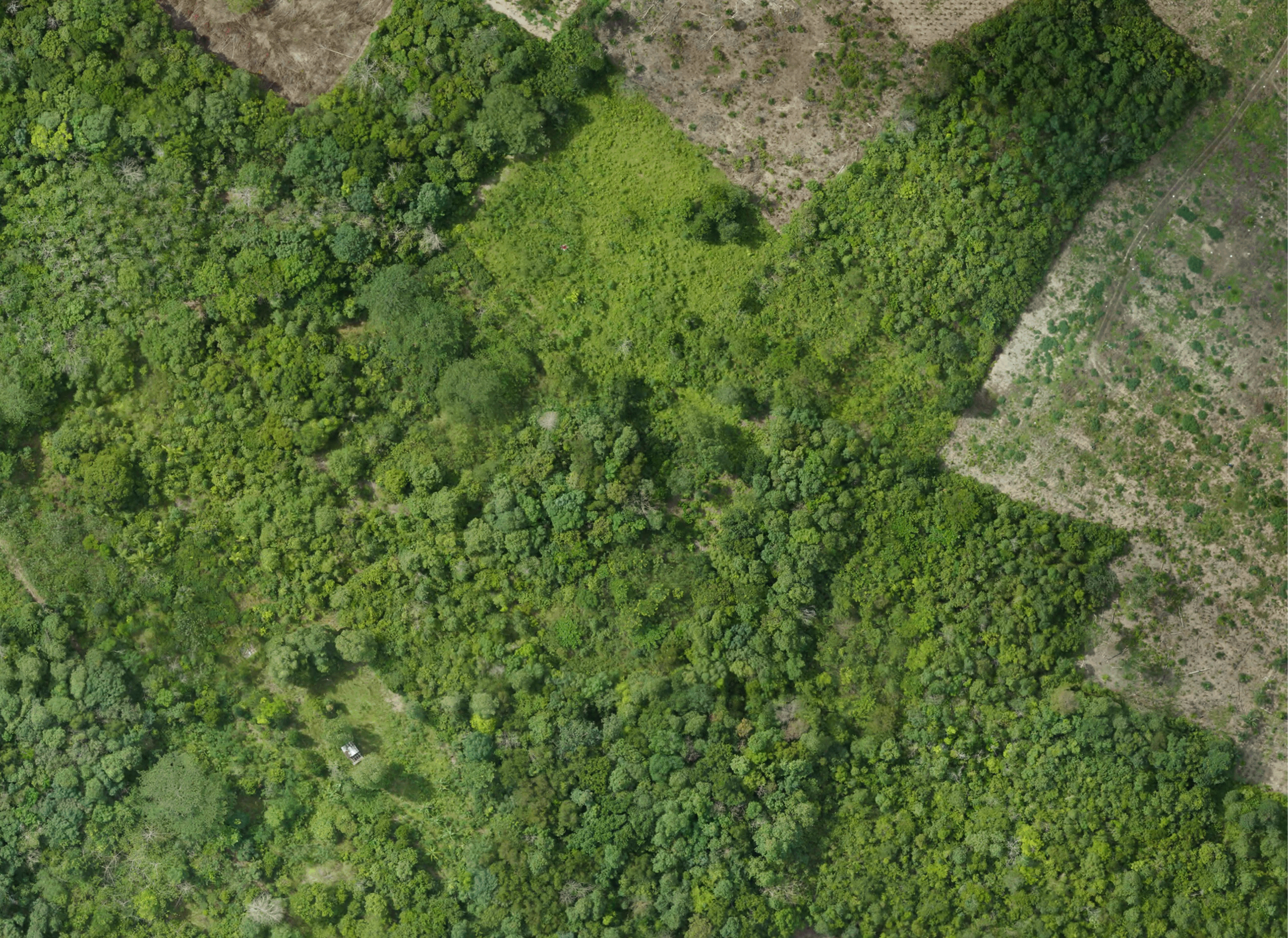 YOLO YOLO Instance Segmentation Model (v5, 2024-12-05 4:25pm) by M11YOLO