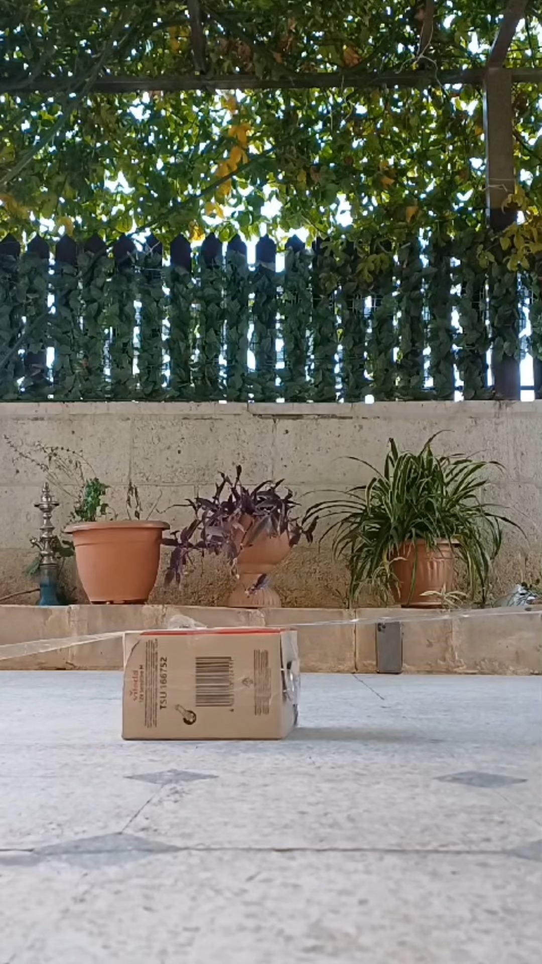 boxL Instance Segmentation Dataset by Projects