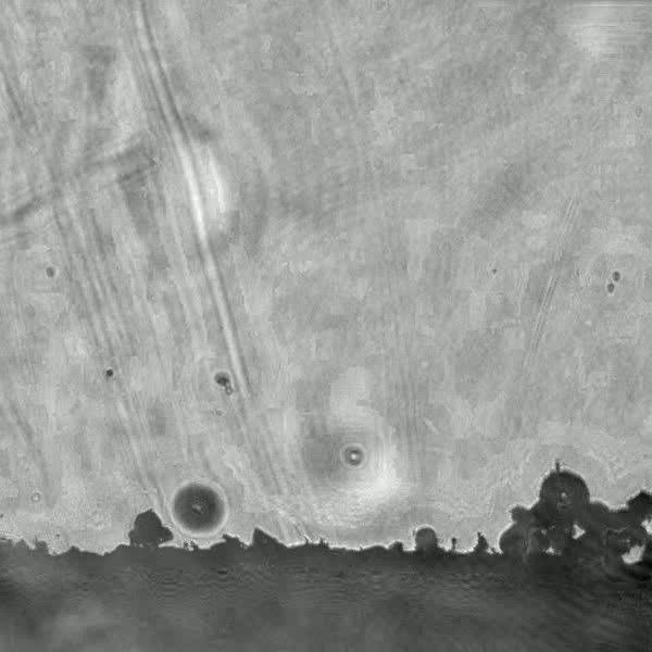 CPP Instance Segmentation Dataset by NWPU
