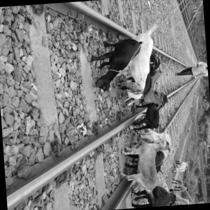 Railway-detect Classification Dataset by zstucekonglzs