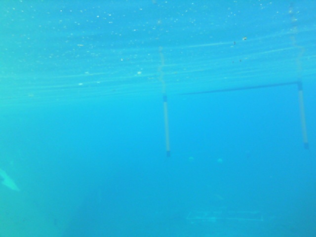 Auv Detection Object Detection Dataset And Pre Trained Model By Auv Iitk