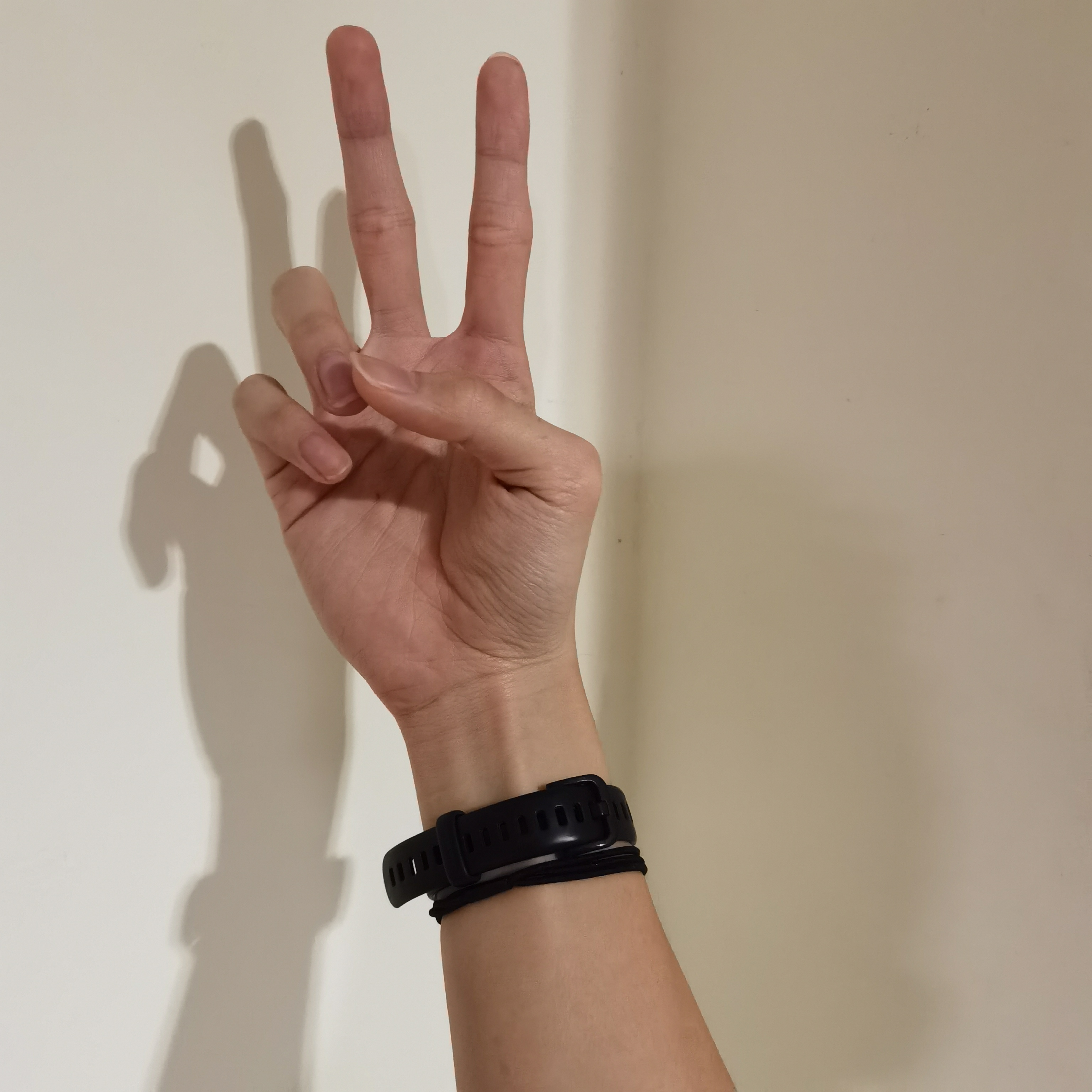 Hand Detection Object Detection Model by Yolo