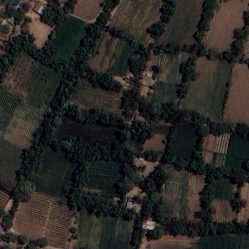 green_plant_annote Instance Segmentation Dataset by HOPS Healthcare