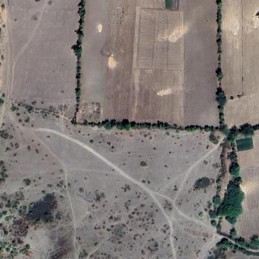 rajasthan-fields Instance Segmentation Dataset by HOPS Healthcare