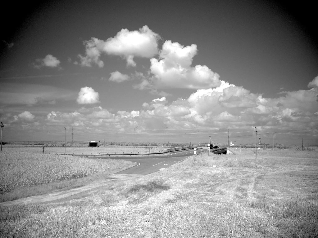 Cars-Black-White Object Detection Dataset and Pre-Trained Model by ...