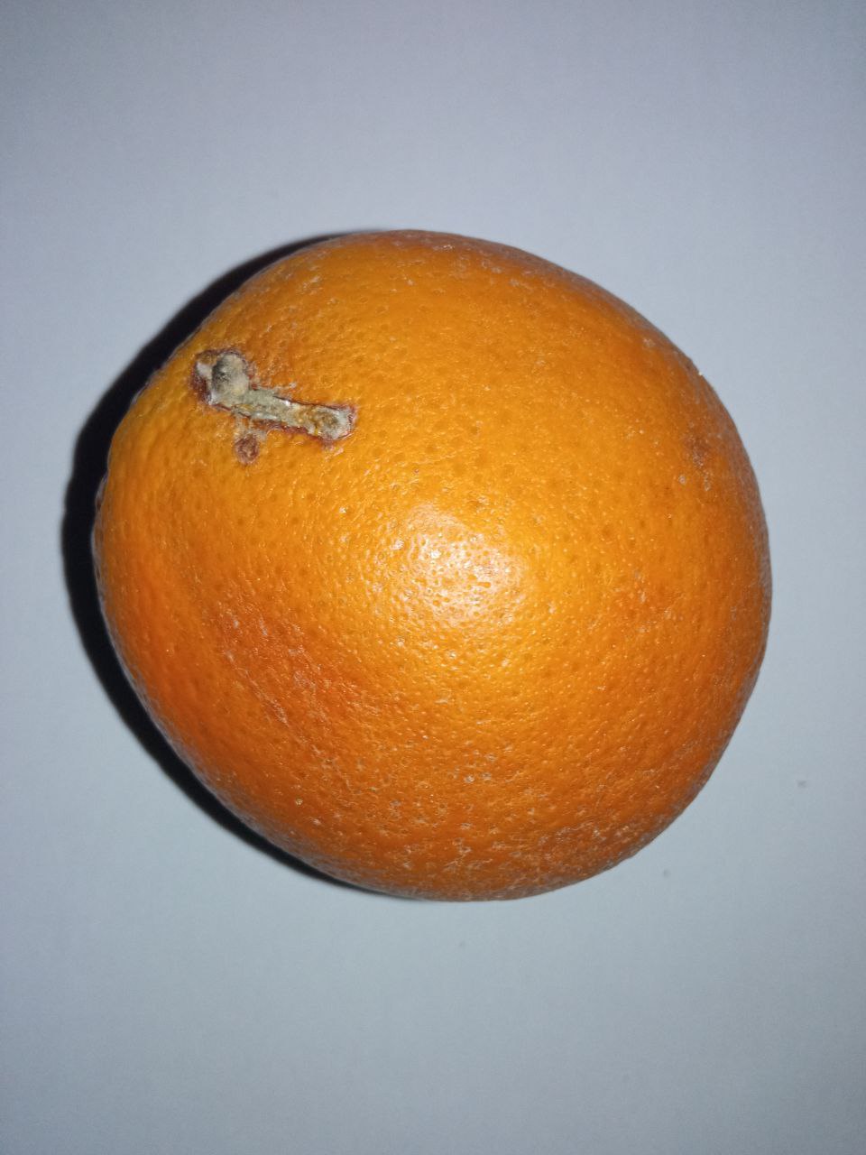 mixed orange detection Object Detection Dataset by orange yield detection