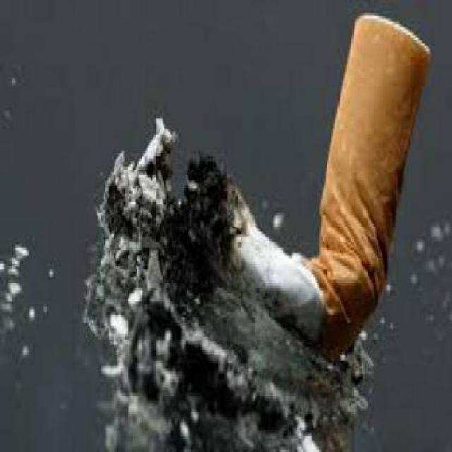 cigarette Object Detection Model by yolov8