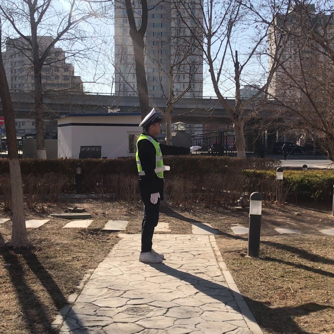 Policeposedataset Keypoint Detection Dataset And Pre Trained Model By