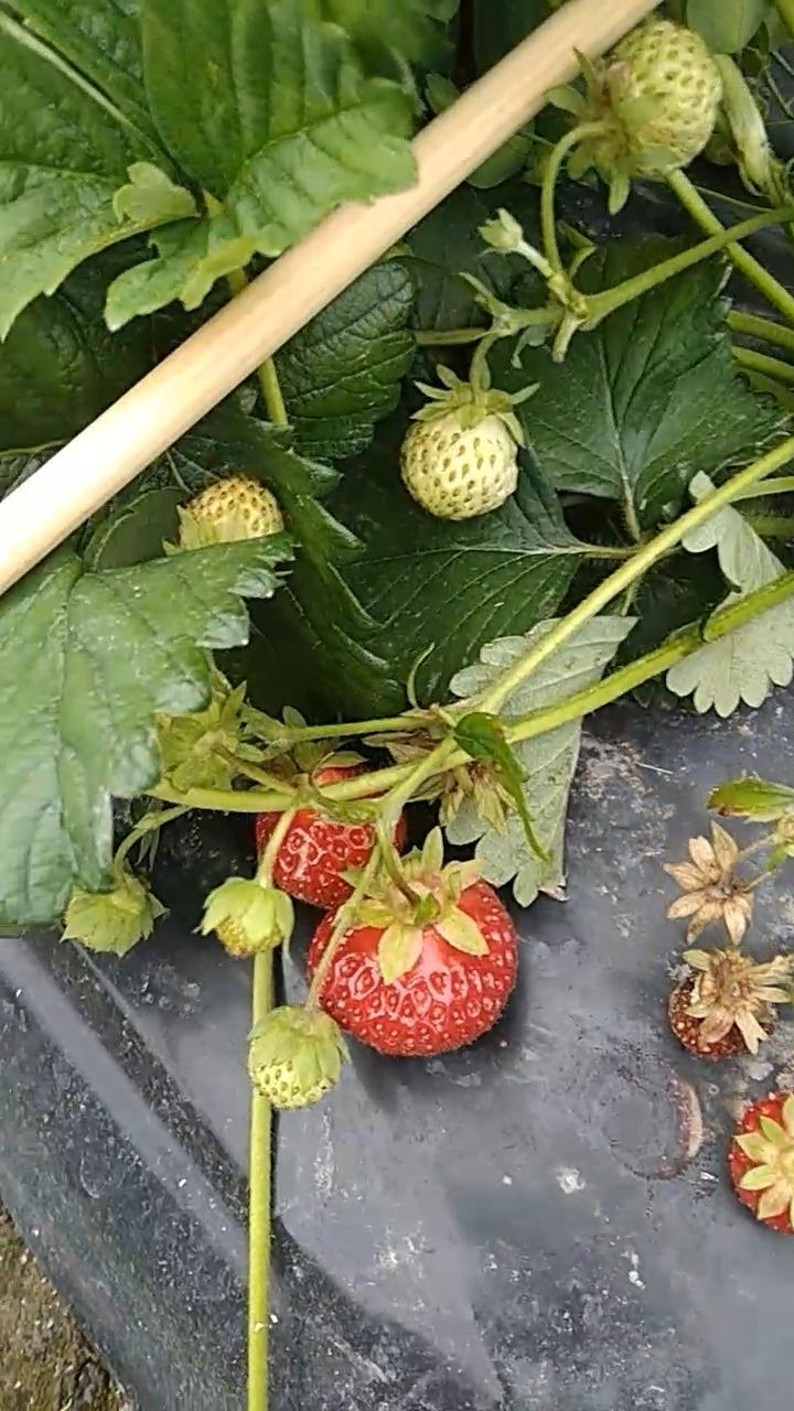 ME340 - Roboflow Universe