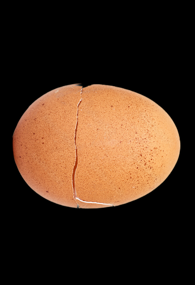 Egg Crack Detection Object Detection Dataset And Pre Trained Model By