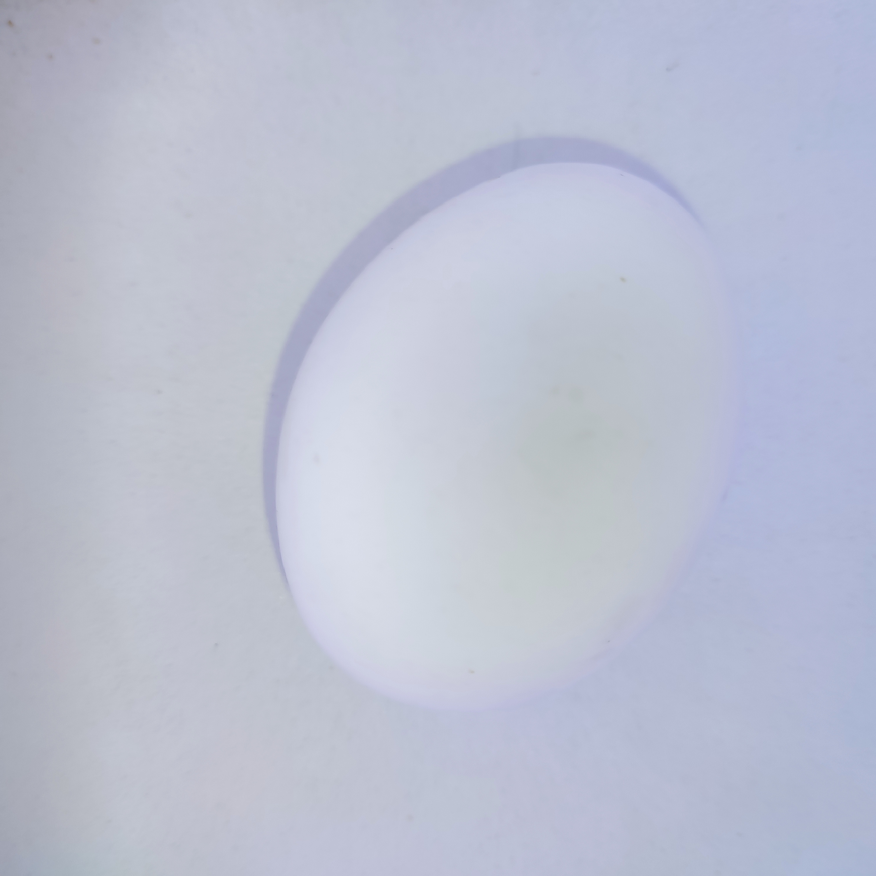 egg-quality-v2 Instance Segmentation Model by PD