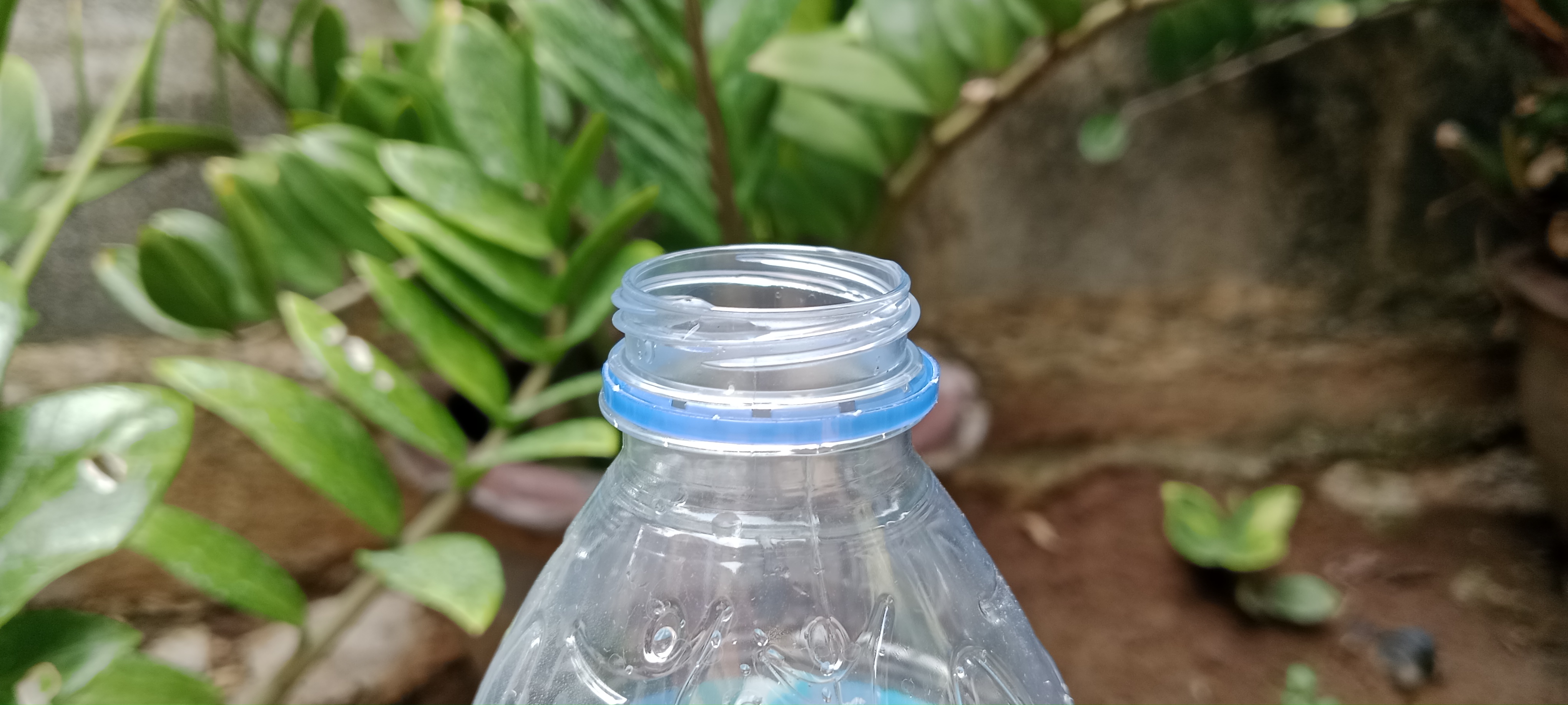 c Object Detection Dataset and Pre-Trained Model by cap