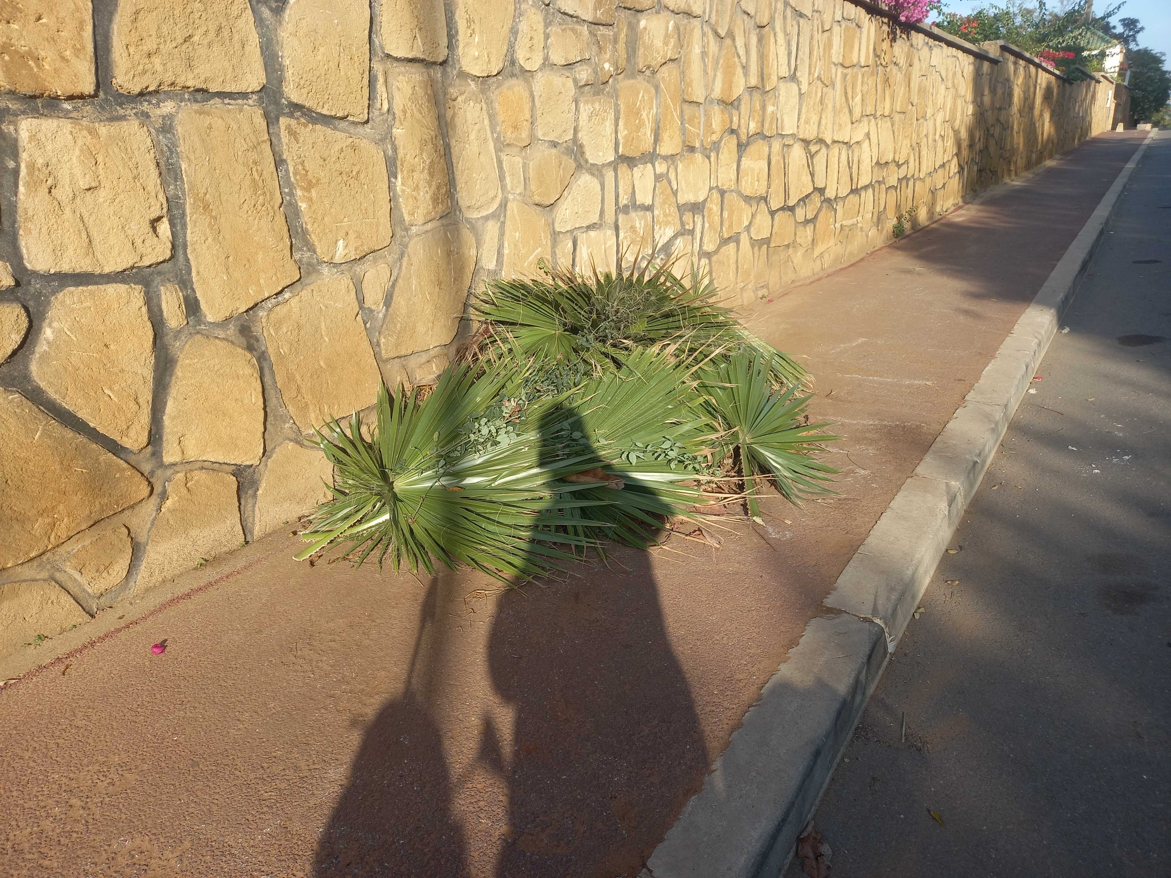 Classification-déchet Object Detection Dataset by trash detection