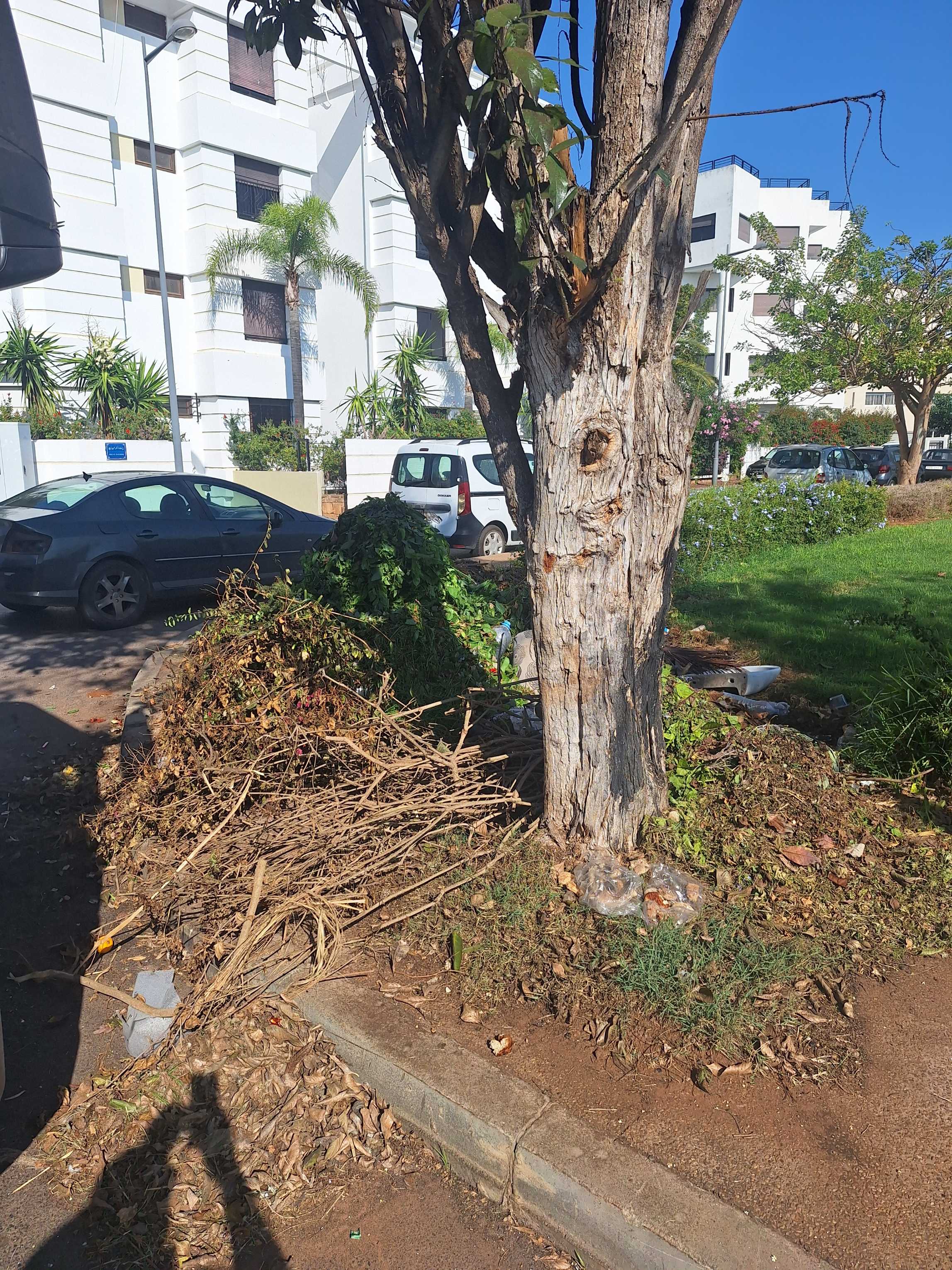 Garbage Sizes Object Detection Dataset And Pre Trained Model By Trash 7427