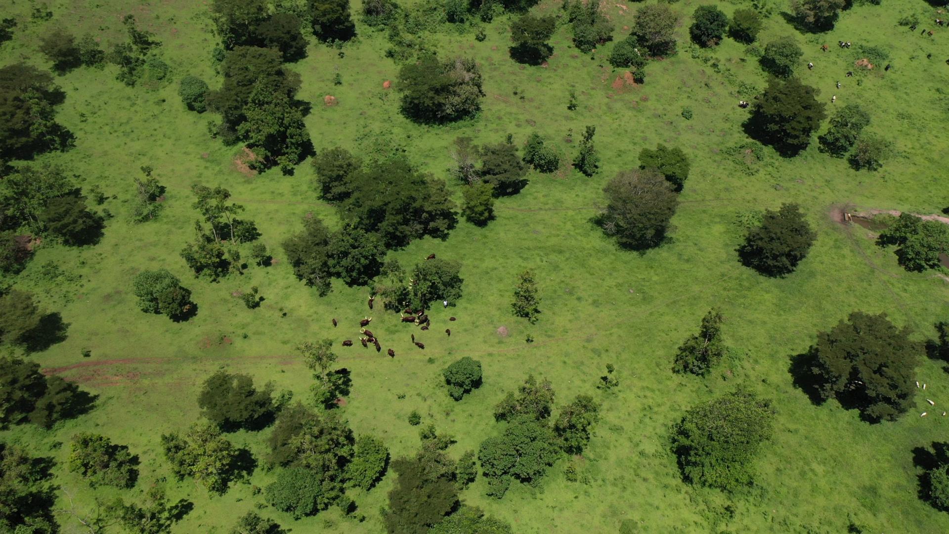 Object Dectection Yolov8 Lorna Object Detection Dataset And Pre Trained Model By Lairg Project